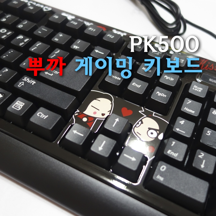 PK500 Gaming Keyboard 뿌까 PK500 게이밍 키보드 제품리뷰 - 에누리 쇼핑지식 리뷰