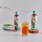 HK이노엔 컨디션 헛개수 500ml[20개] - 에누리 가격비교