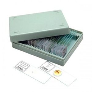 생물 기본 영구프레파라트 세트 EDU-31813 - 에누리 가격비교