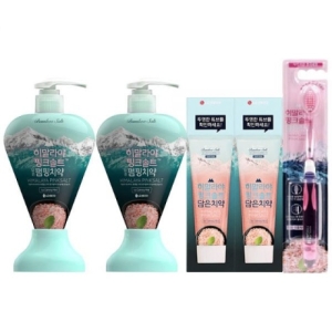 LG생활건강 페리오 히말라야 핑크솔트 펌핑치약 아이스민트 285g 2개 + 아이스민트 100g 2개 + 칫솔 부드러운모 1개 [1세트] : 에누리 가격비교