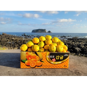 서귀포농원 첫수확 고당도 감귤 5kg10kg 고당도 감귤 5kg 대과 L-2L - 에누리 가격비교