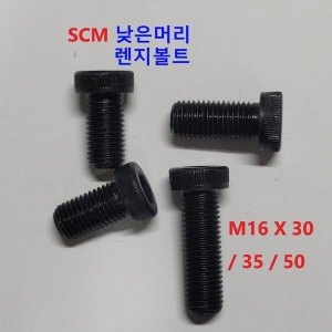 부일볼트 특강 SCM 낮은머리 유두렌지/렌치 볼트 M16 - 에누리 가격비교