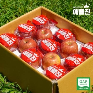 애플진 경북직속 GAP 부사 세척사과 10-12과 2kg - 에누리 가격비교