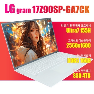 LG전자 그램 프로17 17Z90SP-GA7CK[SSD 4TB] - 에누리 가격비교