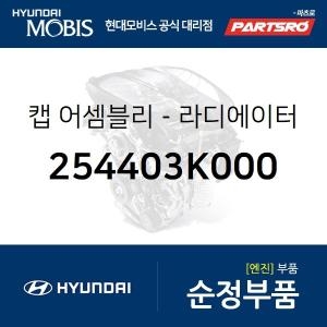 현대모비스 라디에이터 캡 리저버 254403K000 그랜저TG, 쏘나타NF, 아반떼HD - 에누리 가격비교