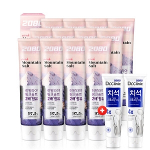 애경 2080 퓨어 핑크 마운틴 솔트 마일드 민트 150g [12개] - 에누리 가격비교