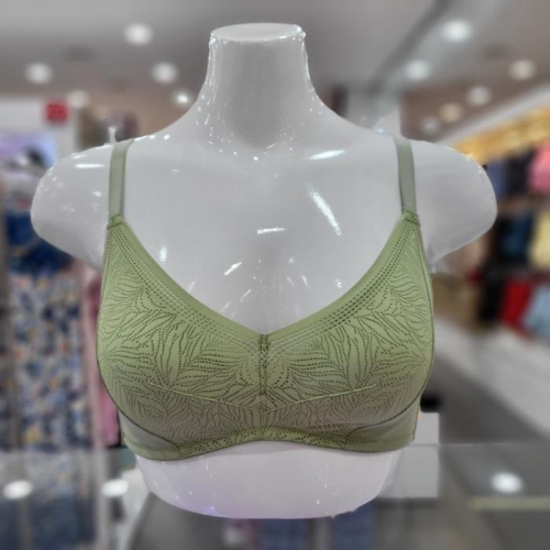 비너스 노와이어 상변커버 일체형패드 B컵 75B 80B 85B 90B VBRQ887 VPTQ887 올리브 햄팬티단품105 - 에누리 가격비교