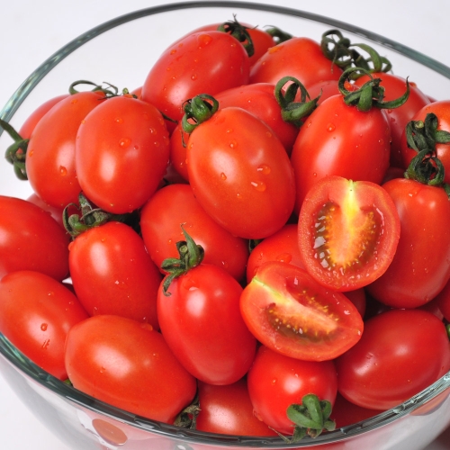 푸르젠 대추 방울토마토 1kg 500g 2팩 - 에누리 가격비교