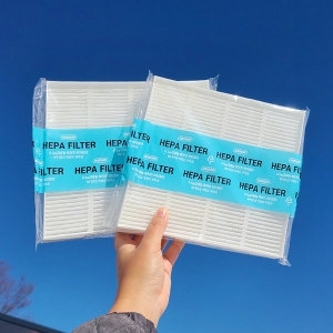 대한청정산업 PM 0.3 H11 헤파필터 H100 [2개] : 에누리 가격비교