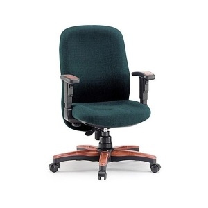 스마트퍼니처 마이다스중-PS2010-그린 - 에누리 가격비교