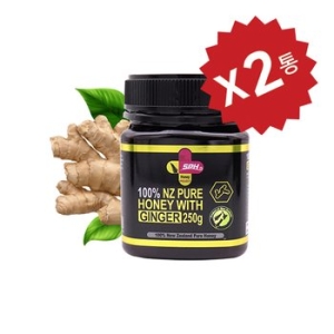 SPH 뉴질랜드 천연 생강꿀 250g 2EA : 에누리 가격비교