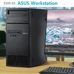 ASUS E500 G5 E-2224G[16GB, M2 256GB + 1TB] - 에누리 가격비교