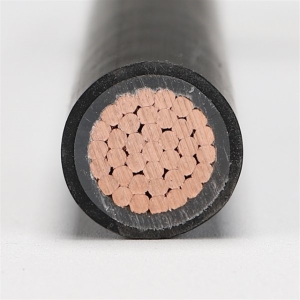 삼사전선 TFR-8 35SQ x 1C[1m] - 에누리 가격비교