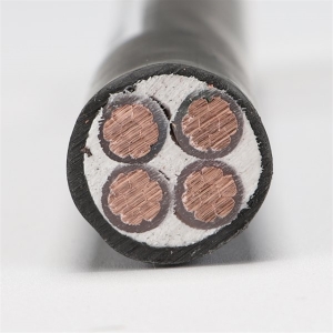 오사전선 TFR-CV 10SQ x 4C[1m] - 에누리 가격비교